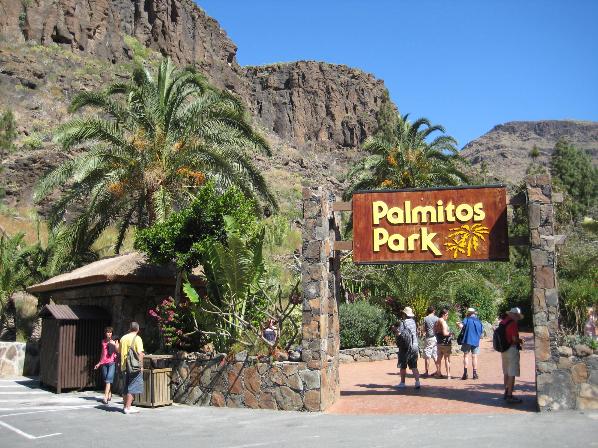 St. Patrick's Press: The best time of your life in two weeks